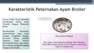 Perkembangan Peternakan Ayam broiler di indonesia.pptx