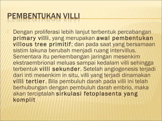 Perkembangan plasenta | PPT