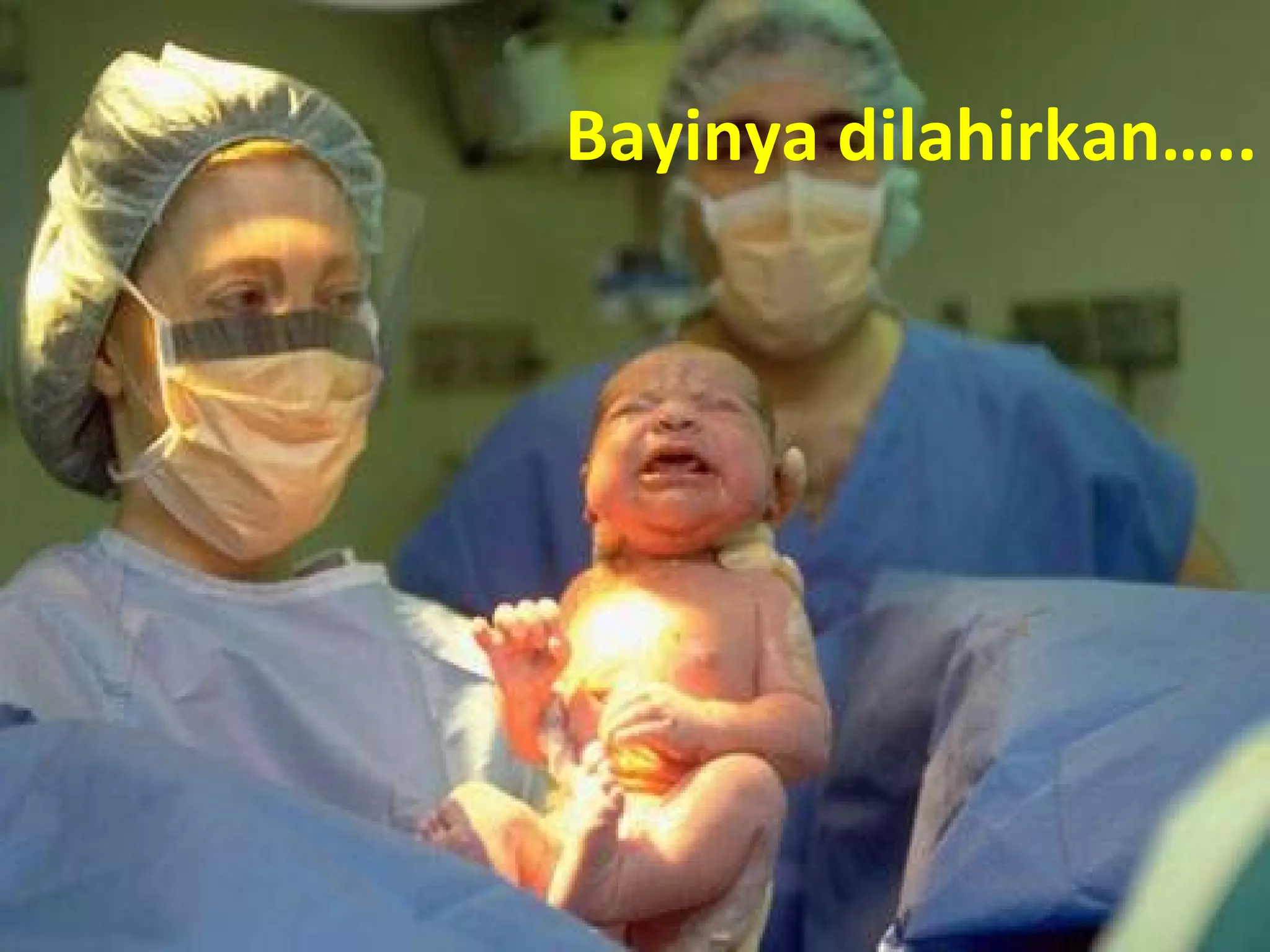 Perkembangan pranatal | PPT