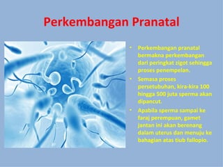 Perkembangan pranatal | PPT