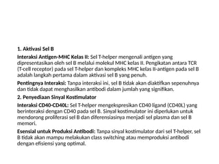 Perkembangan Sel B dalam tubuh manusia.pptx