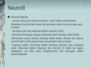 perkembangan sel darah dan limfatik stikes 2 dr.cut sheira.ppt