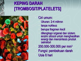 perkembangan sel darah dan limfatik stikes 2 dr.cut sheira.ppt