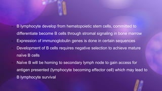 Perkembangan Sel Limfosit dan Sel Penghasil Antibodi.pptx