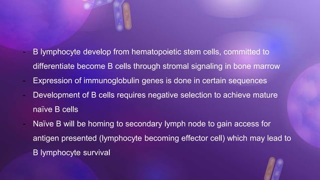 Perkembangan Sel Limfosit dan Sel Penghasil Antibodi.pptx