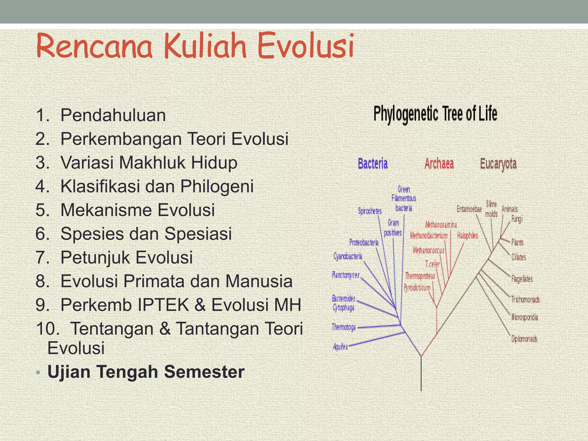 Perkembangan teori evolusi | PPTX