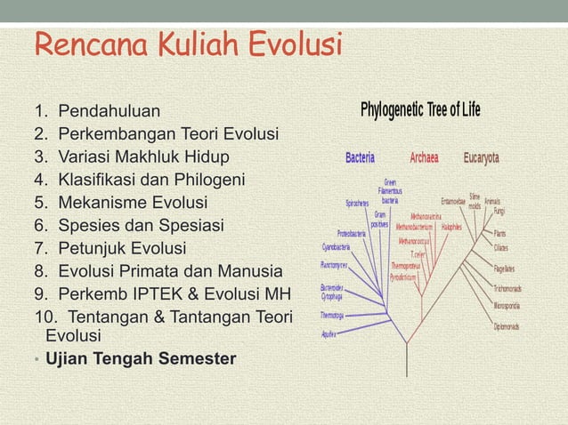Perkembangan teori evolusi | PPTX