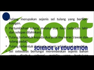 Perkembangan ringkas tulang manusia .ppt