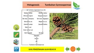 Perkembangan tumbuhan dan hewan.pptx serta penerapan teknologi perkembangan hewan dan tumbuhan ...