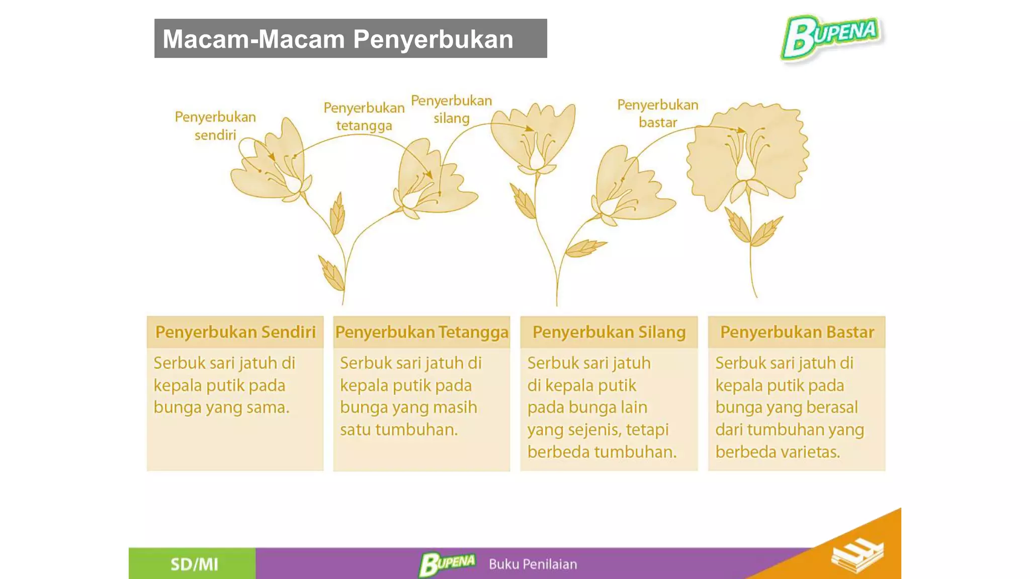 PERKEMBANG BIAKAN.pptx