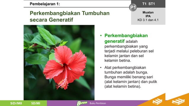 PERKEMBANG BIAKAN.pptx