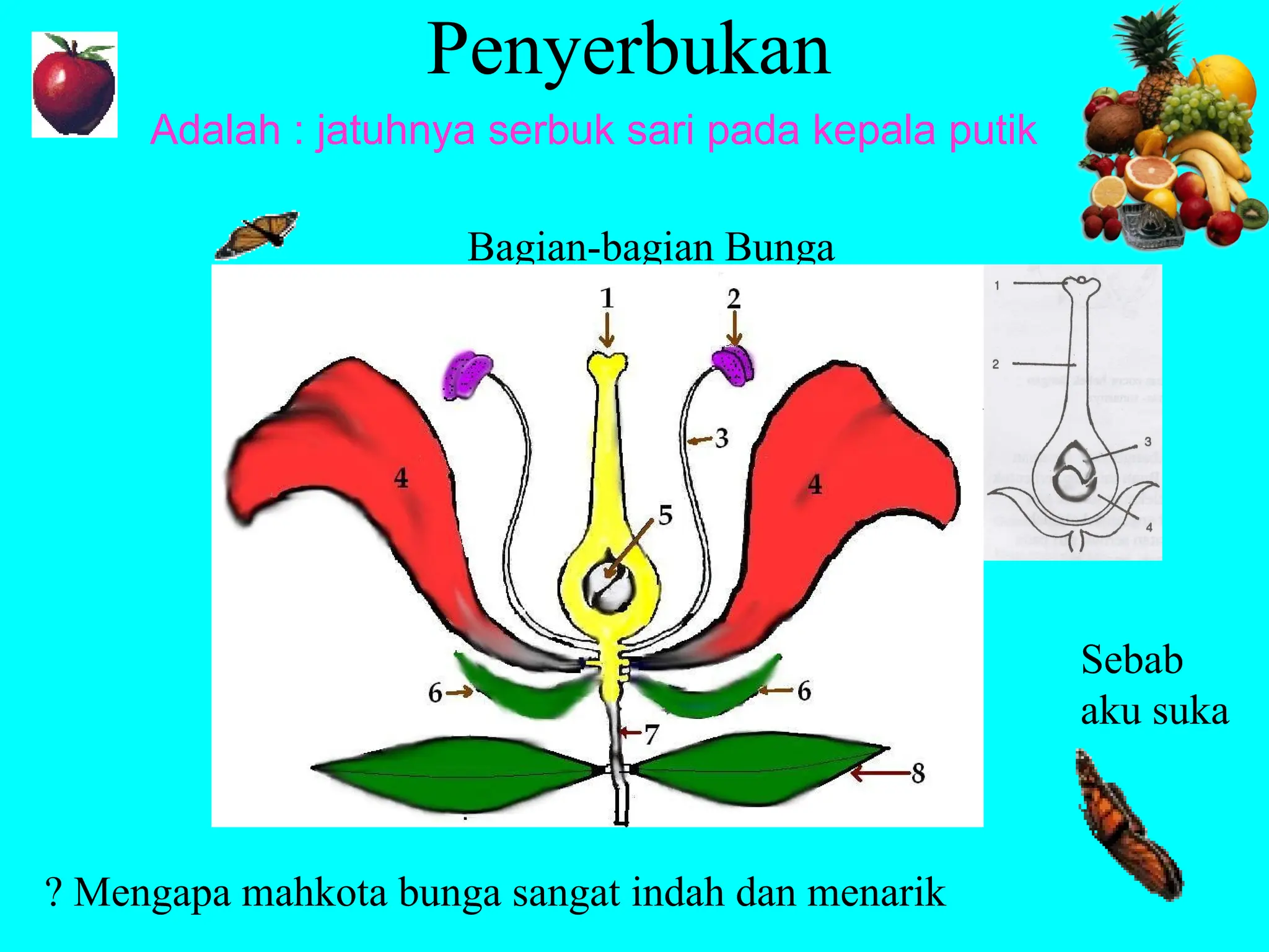 perkembangbiakan tumbuhan,jenis-jenis penyerbukan | PPT
