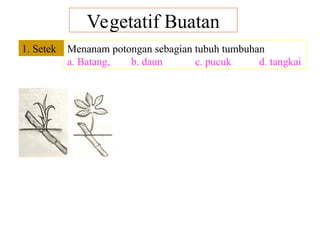 perkembangbiakan tumbuhan,jenis-jenis penyerbukan | PPT