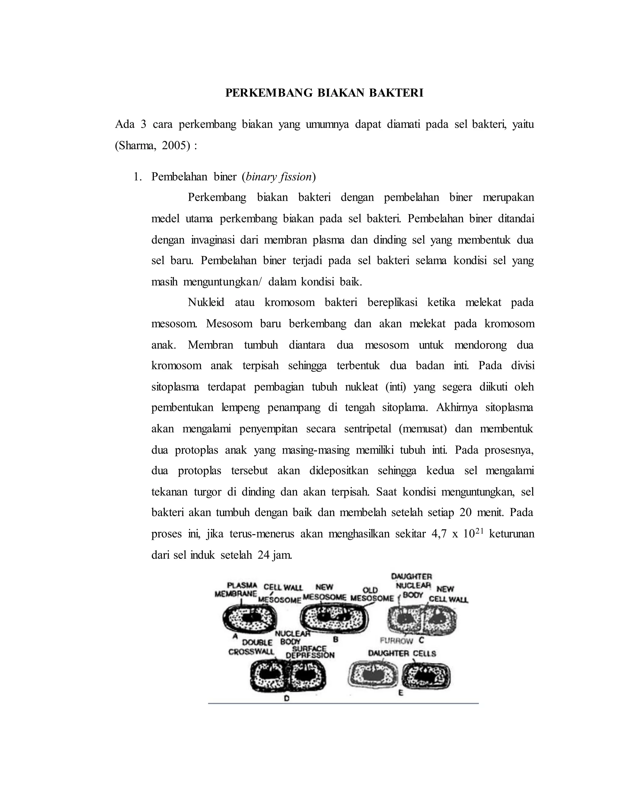 Perkembang biakan bakteri | DOCX