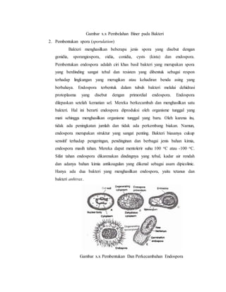 Perkembang biakan bakteri | DOCX