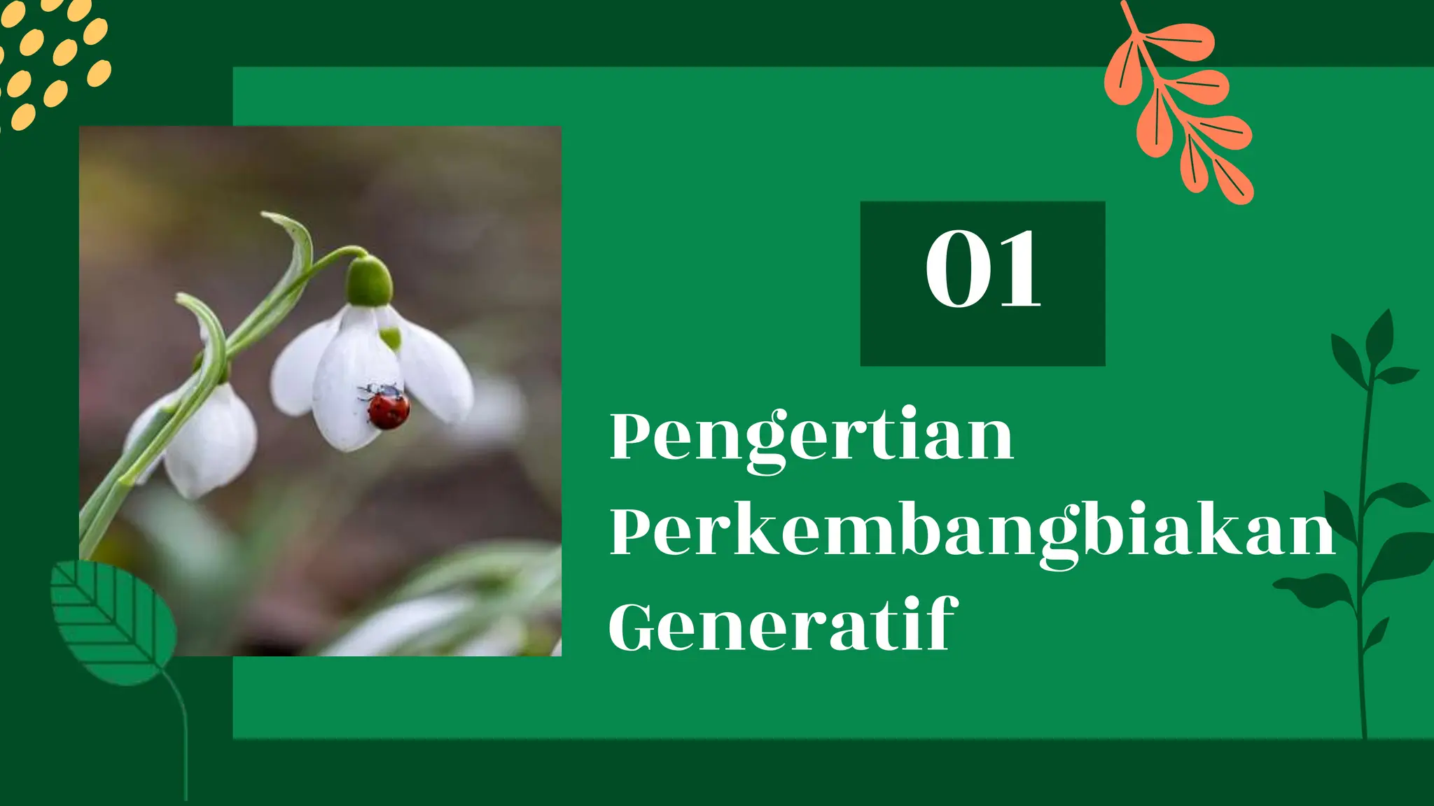 perkembangbiakan generatif perkembang biakan secara generatif pada ...