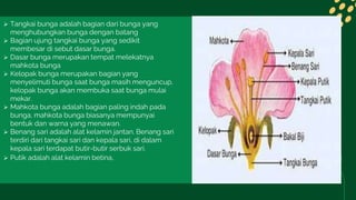 perkembangbiakan generatif perkembang biakan secara generatif pada ...