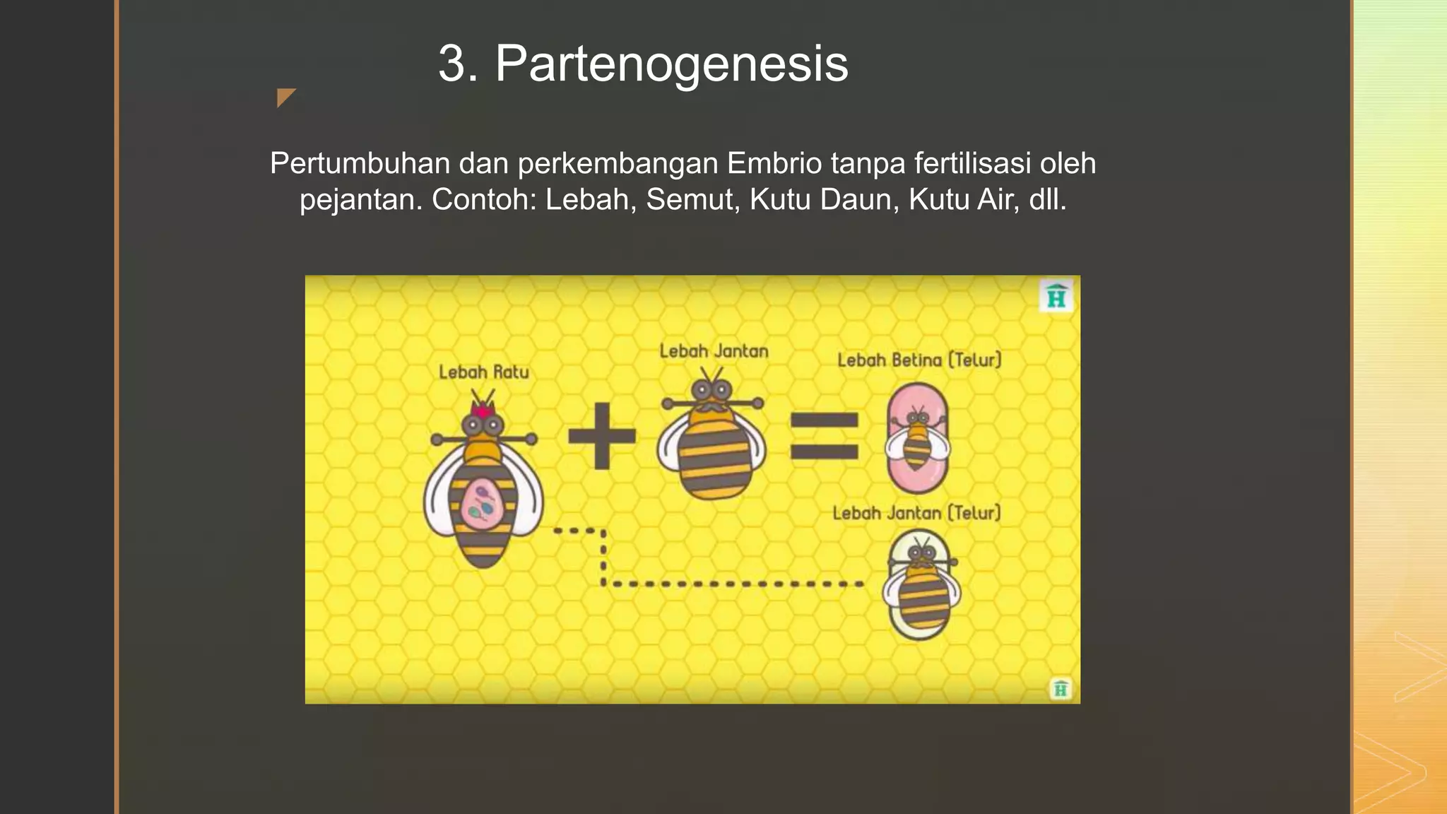 Perkembangbiakan Hewan.pptx