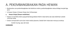perkembangbiakan hewan.pptx