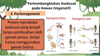 Perkembangbiakan Hewan Presentasi Interaktif Hijau dan Cokelat Gaya Cat ...