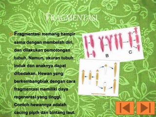 Perkembangbiakan hewan secara vegetatif | PPT