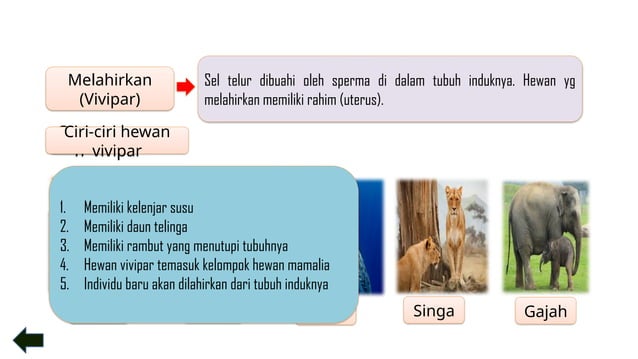 Perkembangbiakan Hewan Tema 1 ST 2. Materi perkembangbiakan baik secara ...