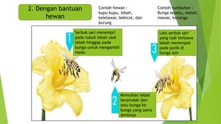 Perkembangbiakan Makhluk Hidup-Tumbuhan | PPTX