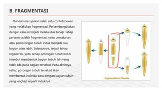 PERKEMBANGBIAKAN PADA HEWAN botak.pptx