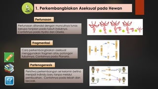 Perkembangbiakan pada hewan +Hereditas (a).pptx