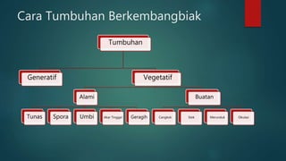 Perkembangbiakan tumbuhan | PPTX