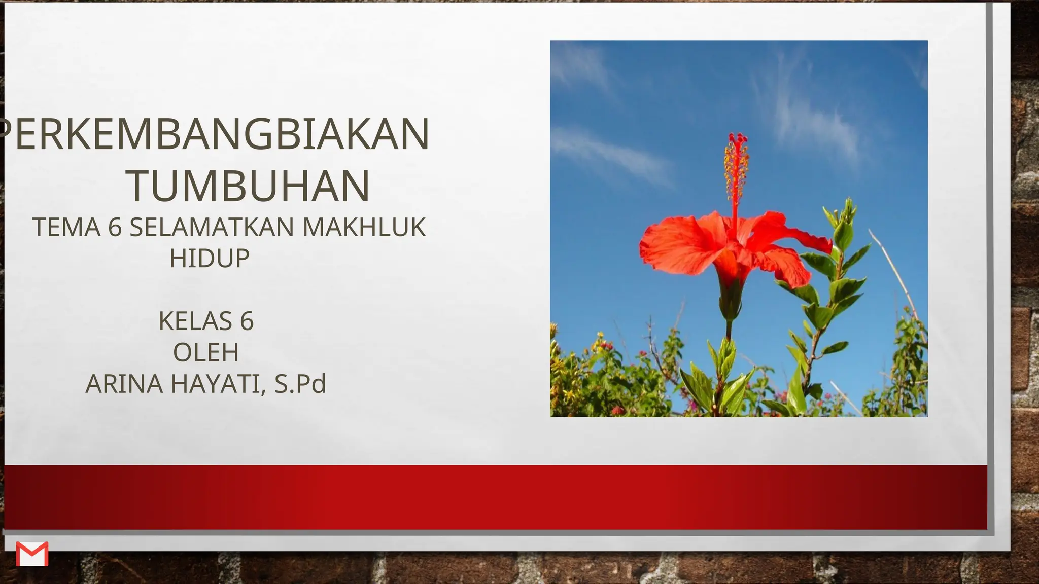 PERKEMBANGBIAKAN TUMBUHAN kelas 6 pada kurikulum 13 dengan tema 1 ppt | PPT