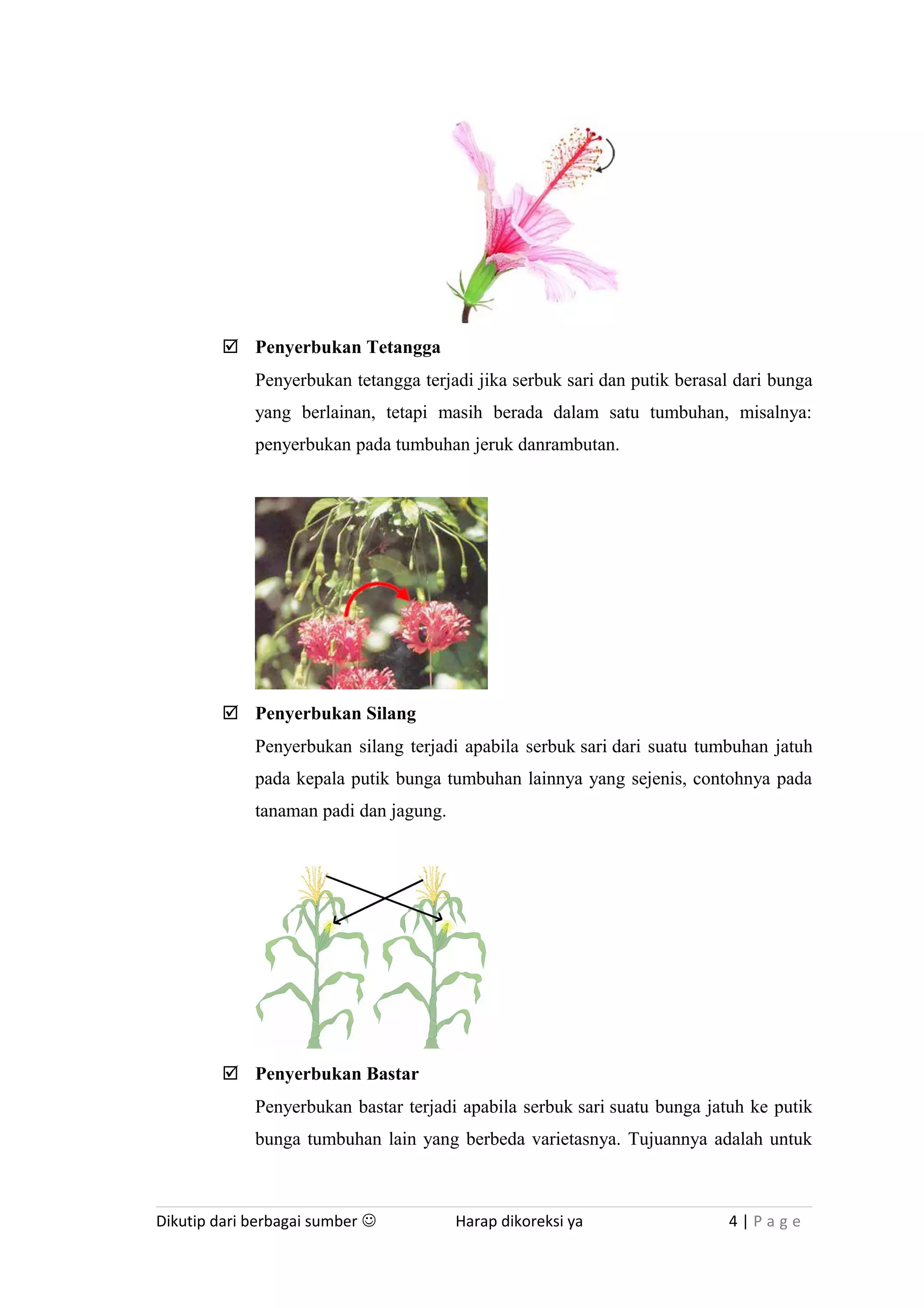 Perkembangbiakan tumbuhan generatif | DOC