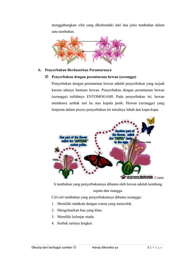 Perkembangbiakan tumbuhan generatif | DOC