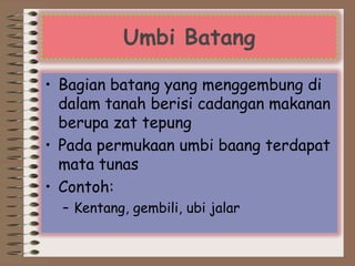 Perkembangbiakan tumbuhan secara vegetatif | PPTX