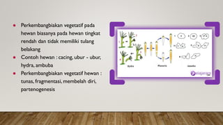 Perkembangbiakan vegetatif pada hewan | PPT
