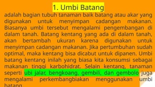 Perkembangbiakan Vegetatif Pada Tumbuhan.pptx