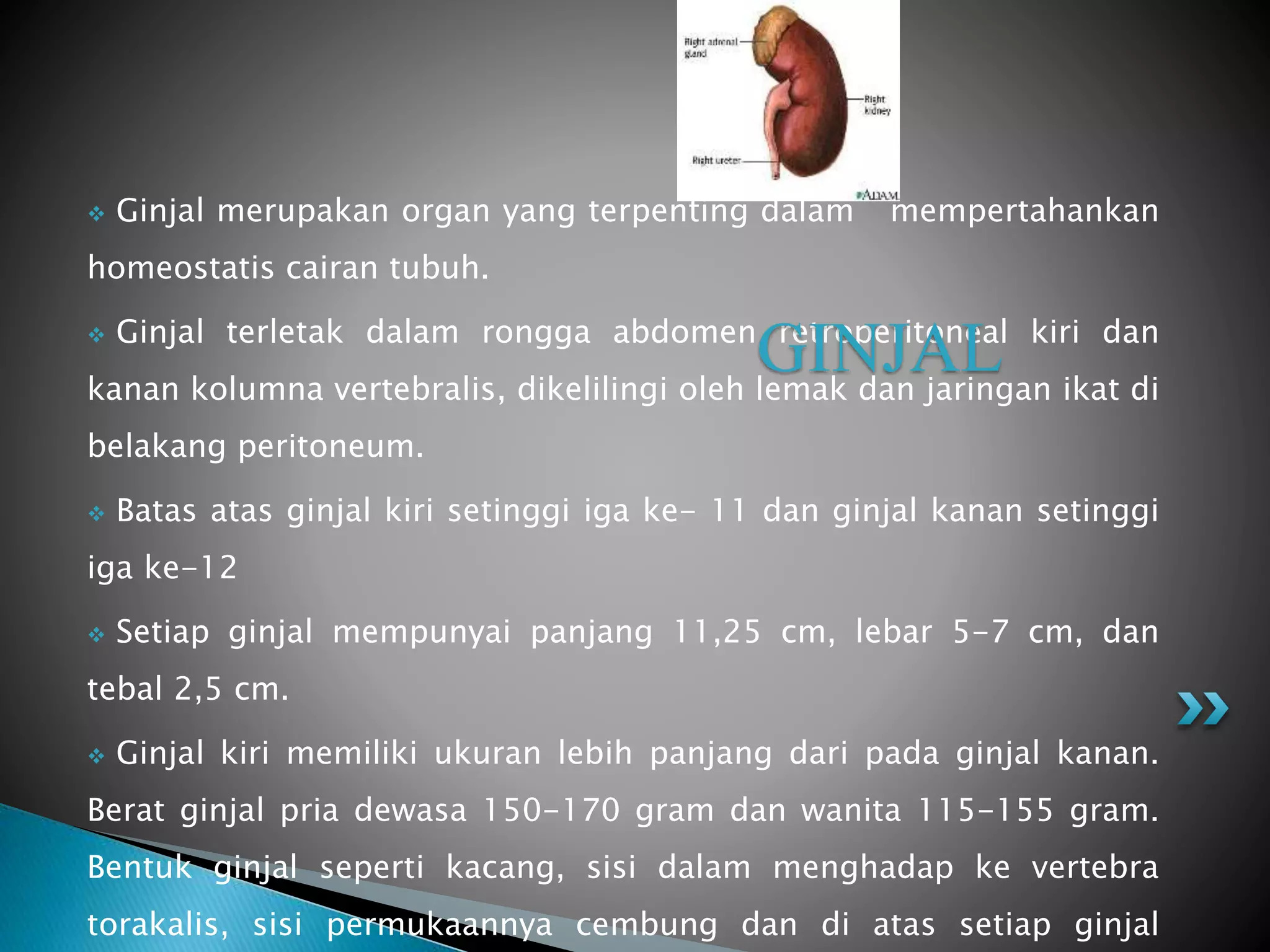 Anatomi dan Fisiologi Sistem Perkemihan | PPTX