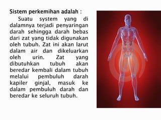 Anatomi dan Fisiologi Sistem Perkemihan | PPTX