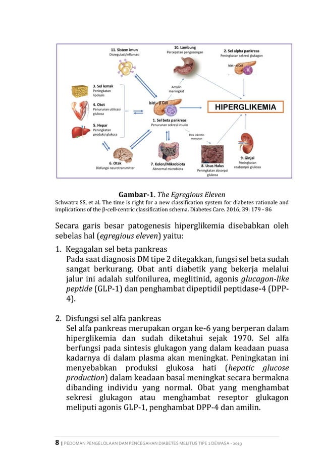 Perkeni dm 2019 | PDF