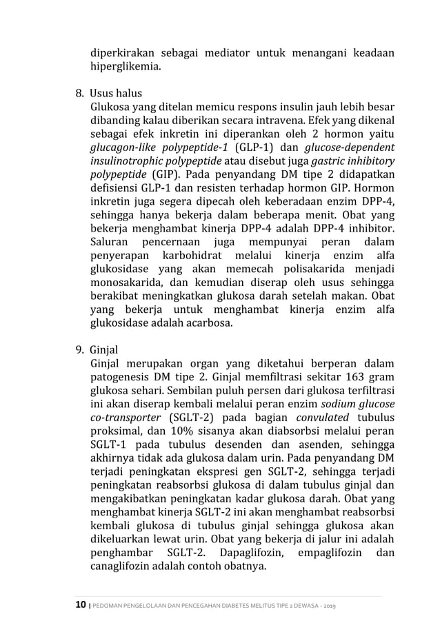 Perkeni dm 2019 | PDF