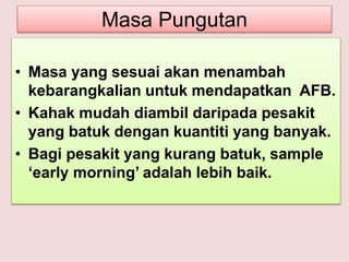 Perkhidmatan makmal tb.pptx