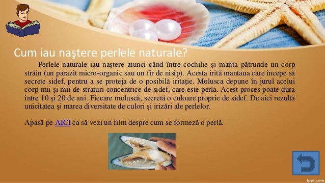 Perla-de-scoica.pptx