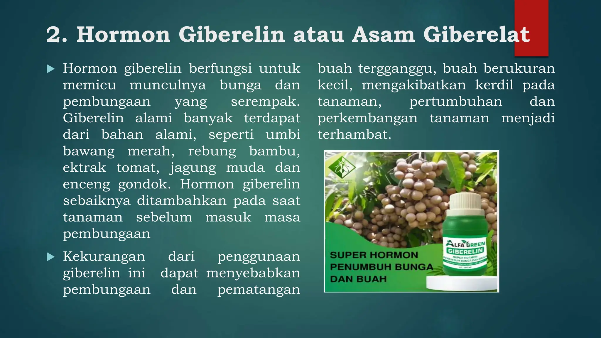 PERLAKUAN KHUSUS TANAMAN BUAH semusim.pptx