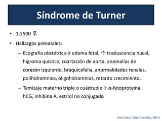 Perlas clínicas: síndrome de turner | PPTX