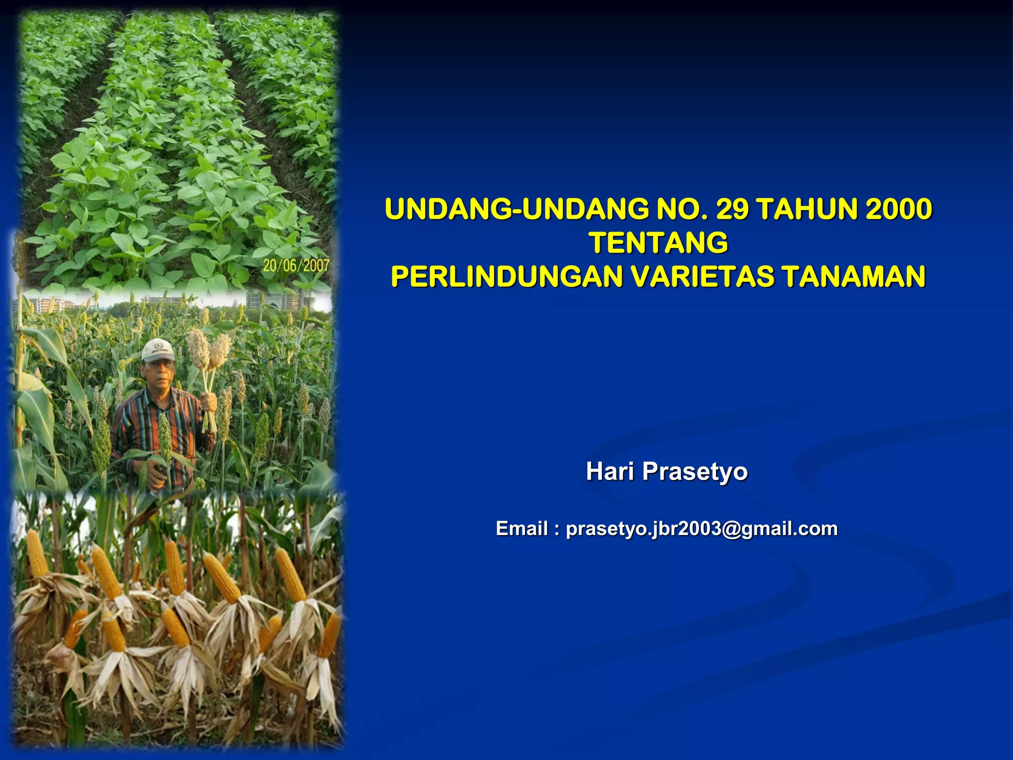 Perlindungan varietas tanaman (uu no 29 tahun 2000) | PDF