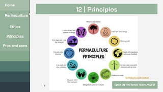Permaculture | PPTX