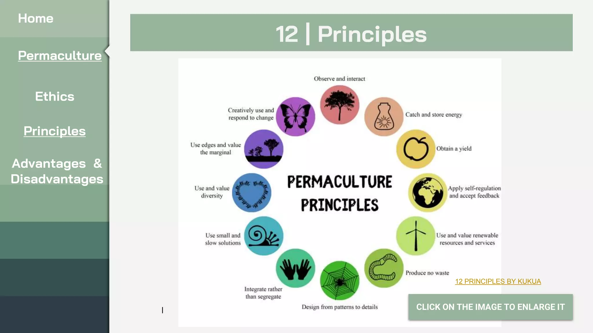 Permaculture | PPTX