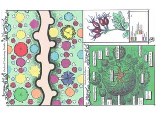 Permaculture Orchard Renovation | PDF