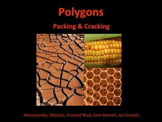 Permaculture: Designs for a Thriving World | PPT