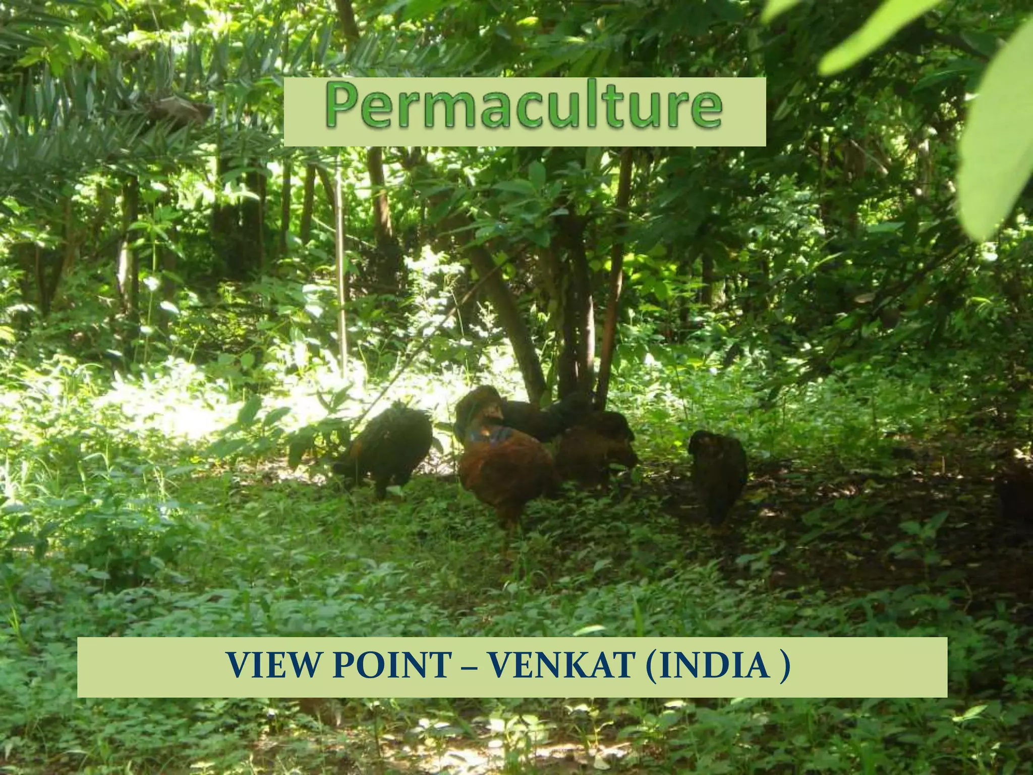 Permaculture view venkat | PPTX